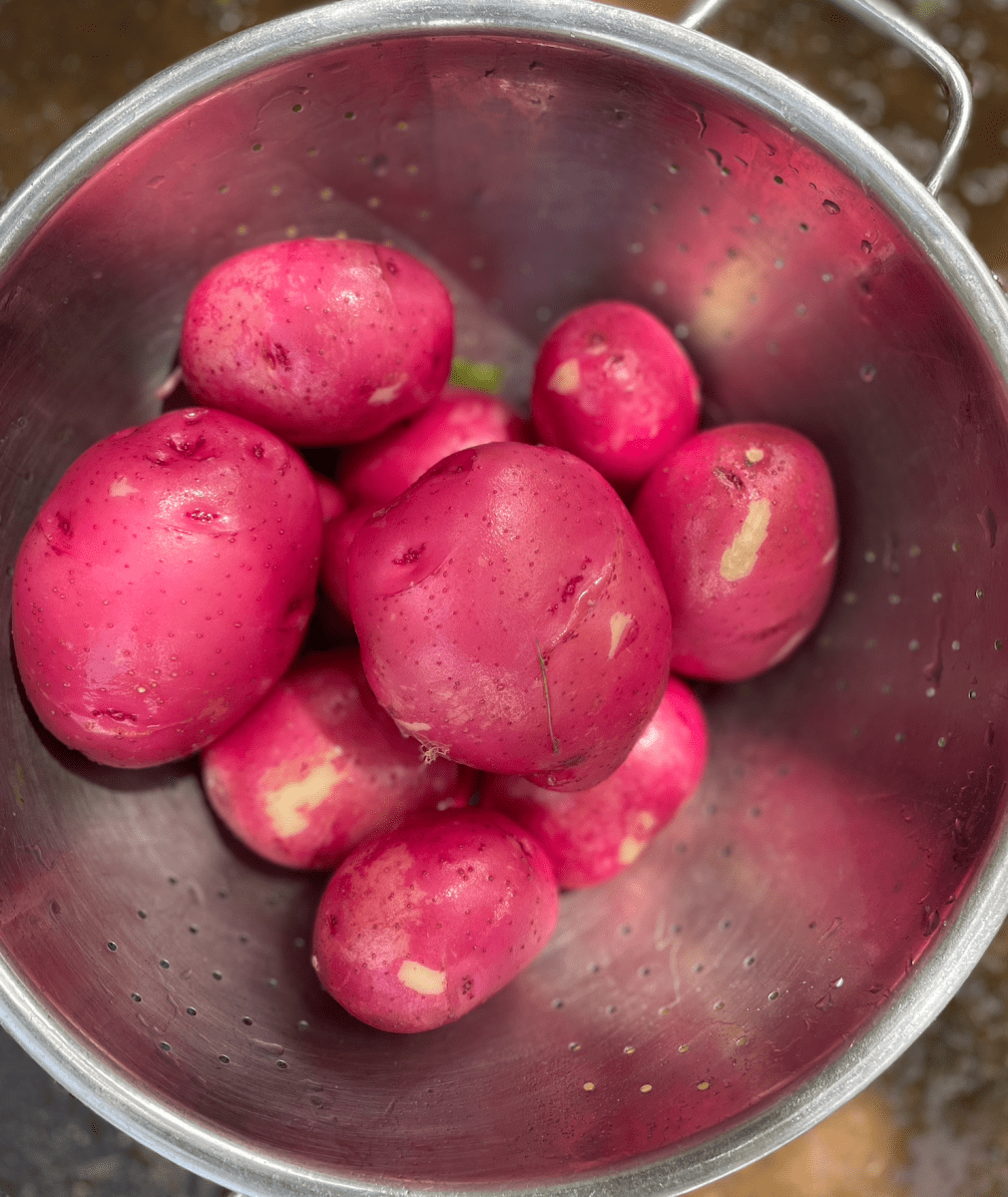 Vol. 1, Issue 5 – Oak Slough Farm